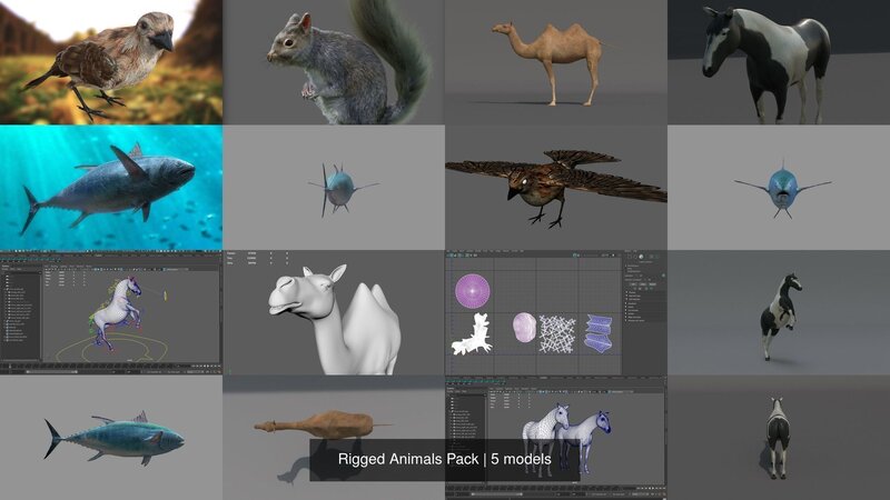 Rigged Animals Pack 3D Model Collection