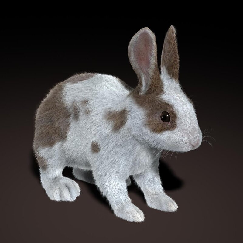 Rabbit Spotted (ANIMATED) (FUR)