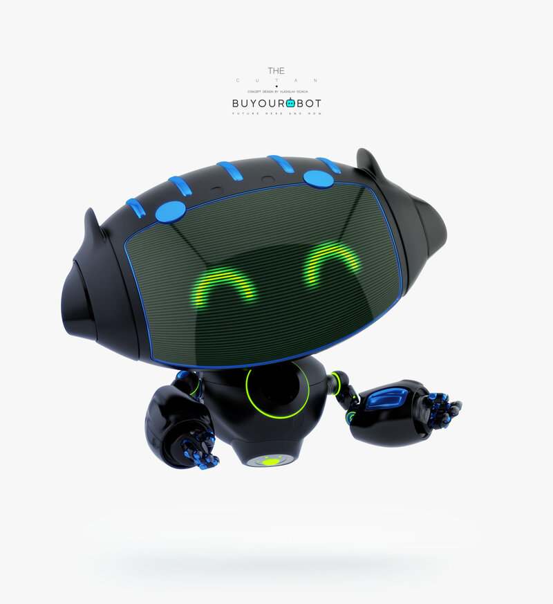 AERIAL BLACK CUTE CAT BOT 3D model