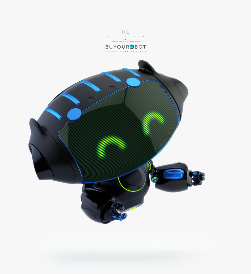AERIAL BLACK CUTE CAT BOT 3D model